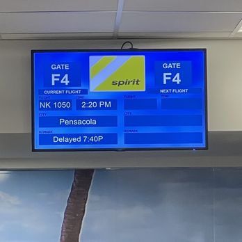 SPIRIT AIRLINES - Updated September 2024 - 79 Photos & 1265 Reviews ...