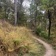 GAMBRILL STATE PARK - 65 Photos & 23 Reviews - Gambrill Park Rd ...