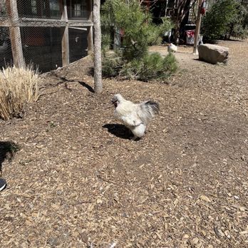 SUNFLOWER FARM - Updated April 2024 - 62 Photos & 36 Reviews - 11150 ...