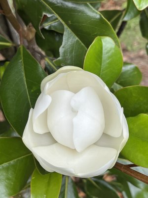 SAAD HEALTHCARE - Updated January 2026 - 17 Photos & 14 Reviews - 1515 ...