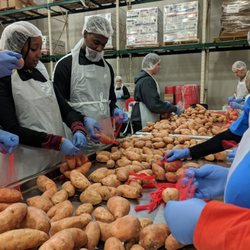 GREATER CHICAGO FOOD DEPOSITORY - 66 Photos & 33 Reviews - 4100 W Ann ...