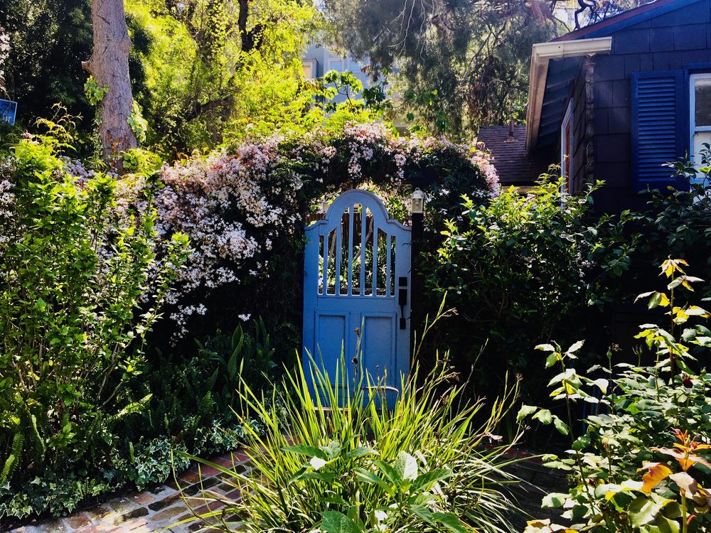 ERIC LIEBERMAN - Updated July 2024 - 10 Photos & 10 Reviews - 14242 ...