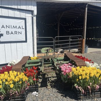 KNUTSON FARMS - Updated October 2025 - 155 Photos & 41 Reviews - 16406 ...