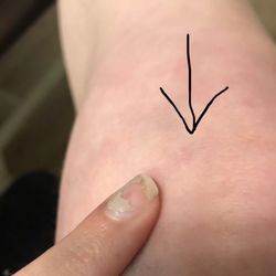 BUGBEE WILLIAM, MD - 17 Reviews - Orthopedists - 4150 Regents Park Row ...