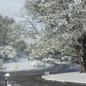 DENVER MEADOWS MOBILE HOME & RV PARK - Updated October 2024 - 18 Photos ...