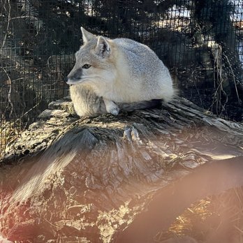 RED RIVER ZOO - Updated December 2025 - 183 Photos & 39 Reviews - 4255 ...