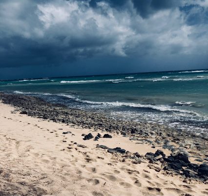 NIMITZ BEACH - Updated May 2025 - 143 Photos & 41 Reviews - Coral Sea ...