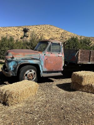 BLOOM RANCH OF ACTON - Updated November 2024 - 63 Photos & 30 Reviews ...