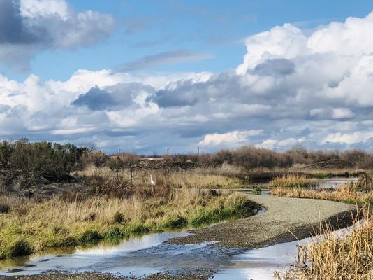 SAN JOAQUIN WILDLIFE REFUGE NATURE TRAIL - Updated January 2025 - 60 ...