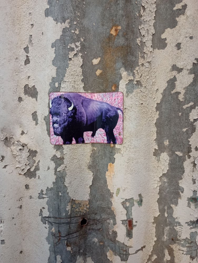 The Purple Buffalo, North Charleston | Roadtrippers
