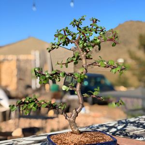 GOLDEN ROOTS SALON - Updated December 2025 - 64 Photos & 53 Reviews ...