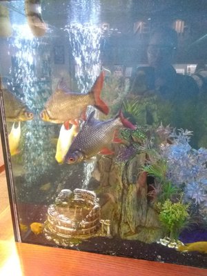 PASO ROBLES PUBLIC LIBRARY - Updated October 2025 - 17 Reviews - 1000 ...