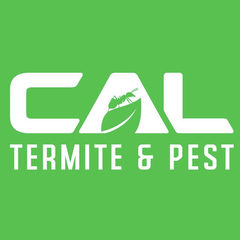 CAL TERMITE AND PEST CONTROL - Updated April 2024 - 683 Photos & 252 ...