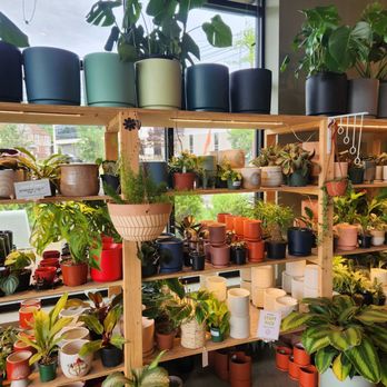 PLANTHOUSE - Updated August 2025 - 280 Photos & 100 Reviews - 2452 Park ...