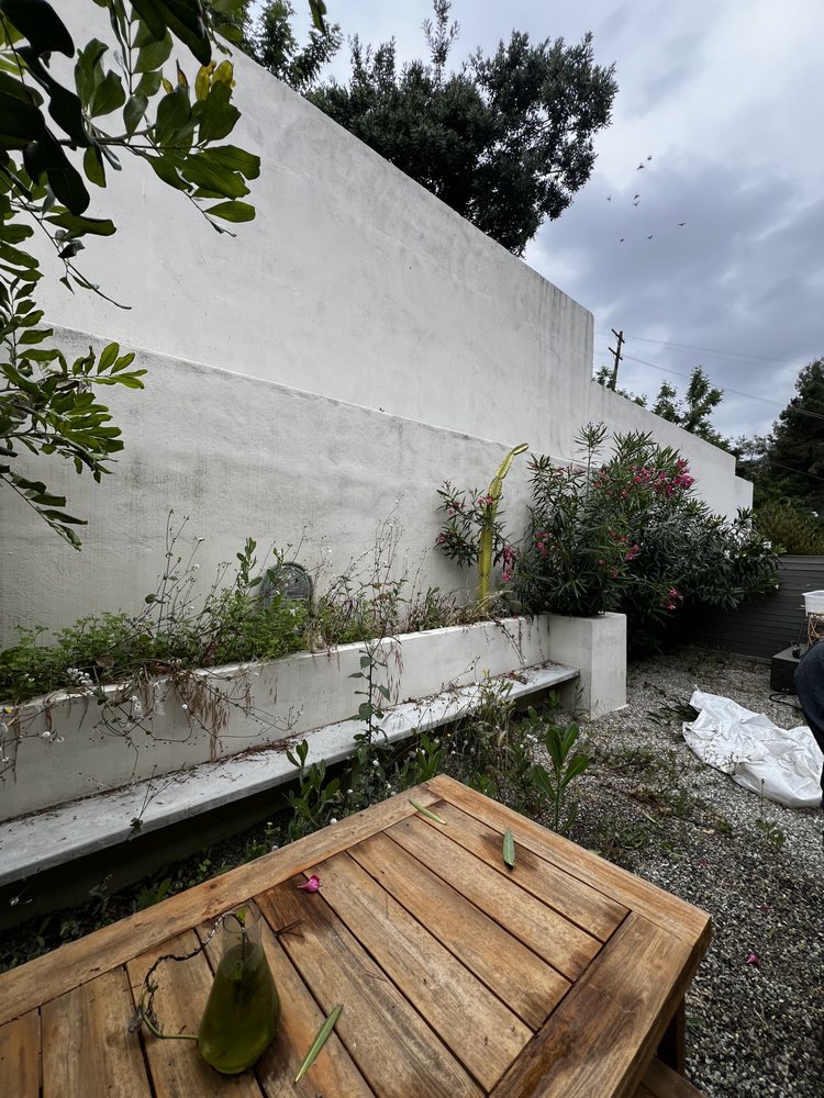 NO LIMITS TREE SERVICE AND LAND CARE - Updated July 2025 - 109 Photos ...