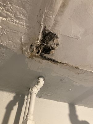 SAM ADAM JR. LAW GROUP - Updated October 2025 - 980 N Michigan Ave ...