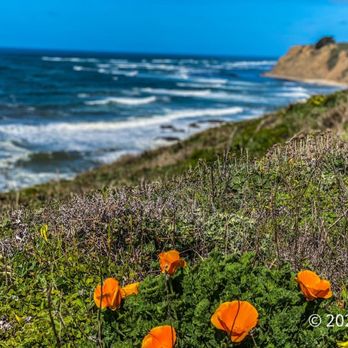 PILLAR POINT BLUFF - Updated November 2025 - 998 Photos & 28 Reviews ...