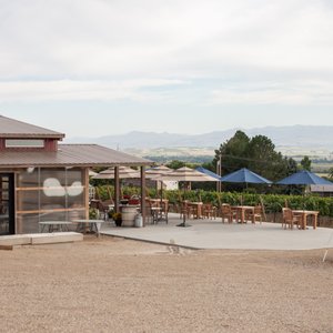 3 HORSE RANCH VINEYARDS - Updated October 2025 - 104 Photos & 61 ...