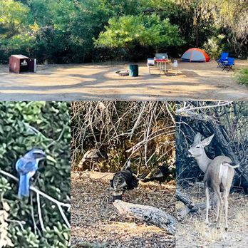 PINNACLES CAMPGROUND - Updated December 2025 - 195 Photos & 125 Reviews ...