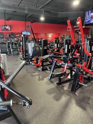 SHREDZ GYM - Updated October 2025 - 34 Photos & 113 Reviews - 1501 ...