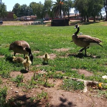 LINDO LAKE COUNTY PARK - Updated June 2024 - 283 Photos & 39 Reviews ...