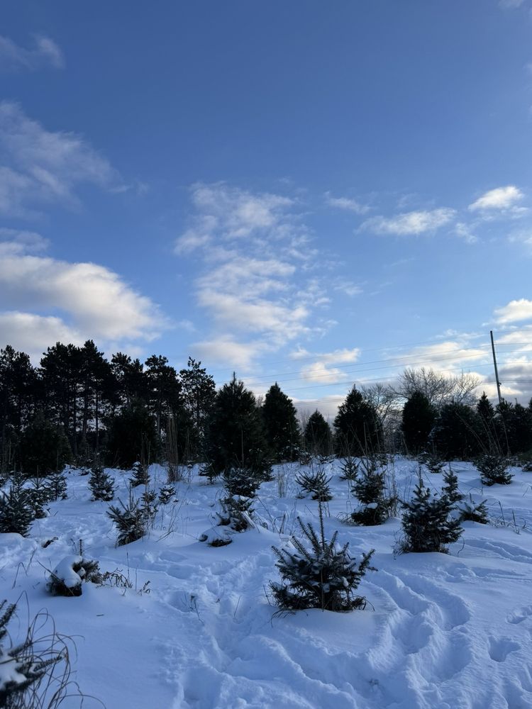 HANSEN TREE FARM - Updated June 2026 - 18 Photos - 7440 Alpine Dr NW ...