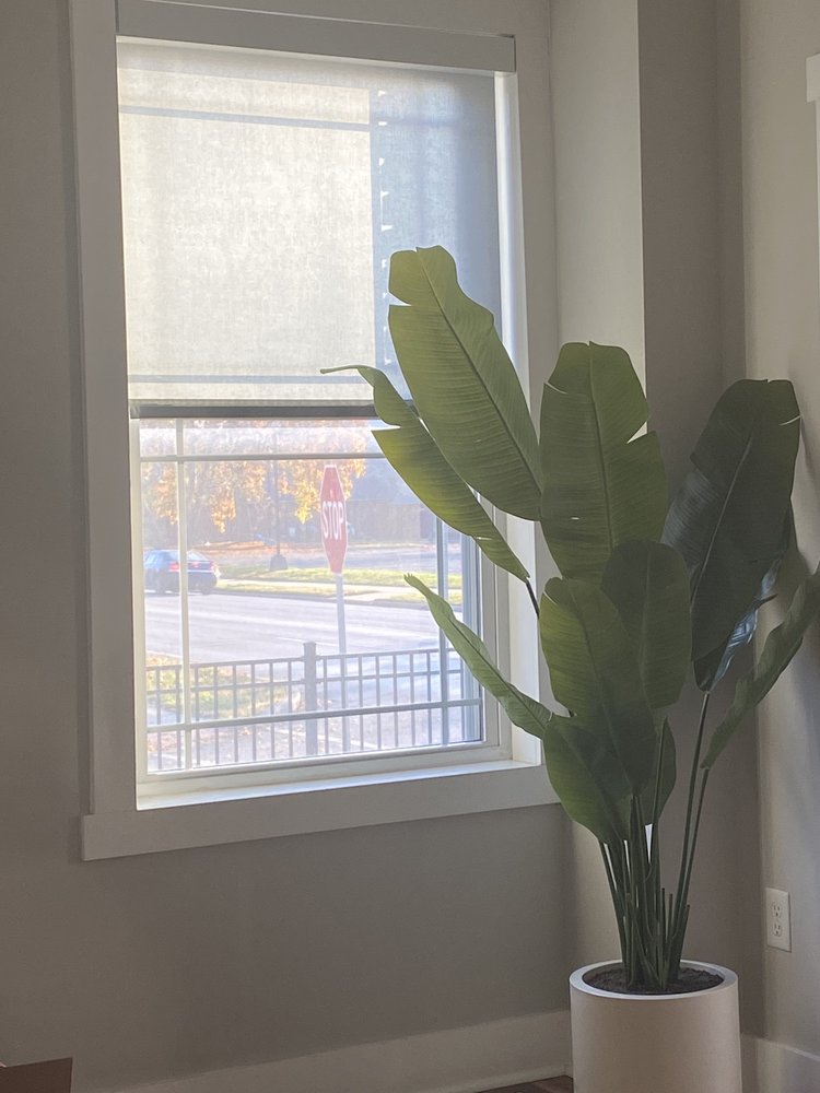 THE WINDOW VALET - Updated November 2024 - 17 Photos & 21 Reviews ...