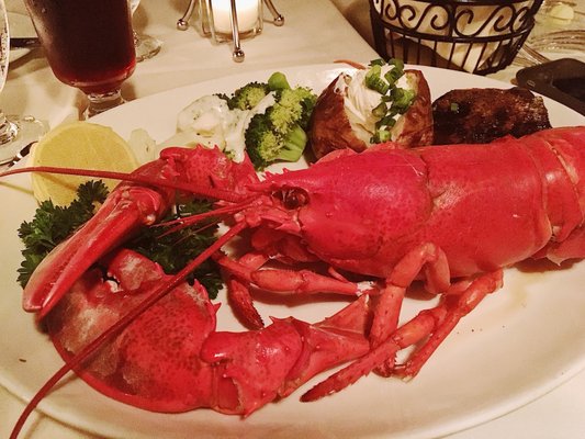 Salt Cellar - 310 Photos & 640 Reviews - Seafood - 550 N Hayden Rd ...