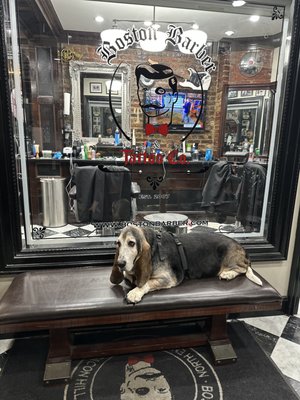 BOSTON BARBER & TATTOO CO. - 251 Photos & 305 Reviews - 113 Salem St ...