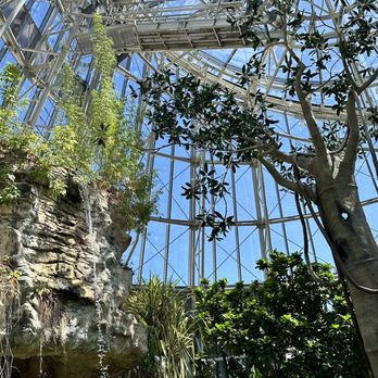 COCKRELL BUTTERFLY CENTER - Updated February 2025 - 569 Photos & 145 ...