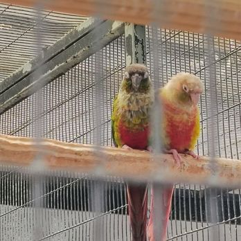 MAGNOLIA BIRD FARM - Updated January 2026 - 156 Photos & 211 Reviews ...