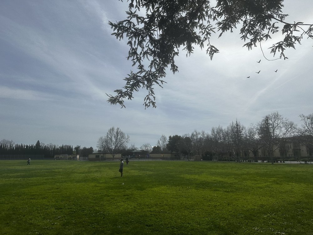 HESTER PARK - Updated May 2025 - 1578 Naglee Ave, San Jose, California ...