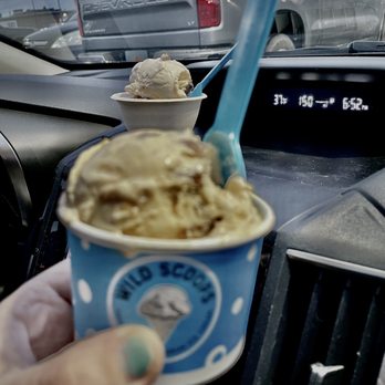 WILD SCOOPS - Updated April 2025 - 246 Photos & 172 Reviews - 530 E ...