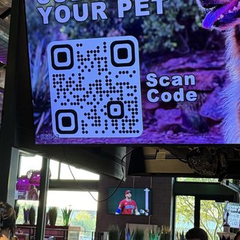 BACKYARD - GILBERT - Updated January 2026 - 192 Photos & 158 Reviews ...