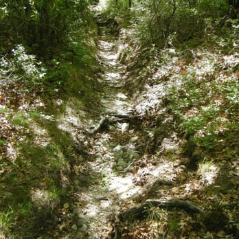 ESCOHEAG TRAIL - Updated July 2025 - 20 Photos - Escoheag Hill Rd ...