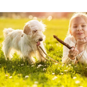 MONROE ROAD ANIMAL HOSPITAL - Updated September 2025 - 21 Photos & 68 ...