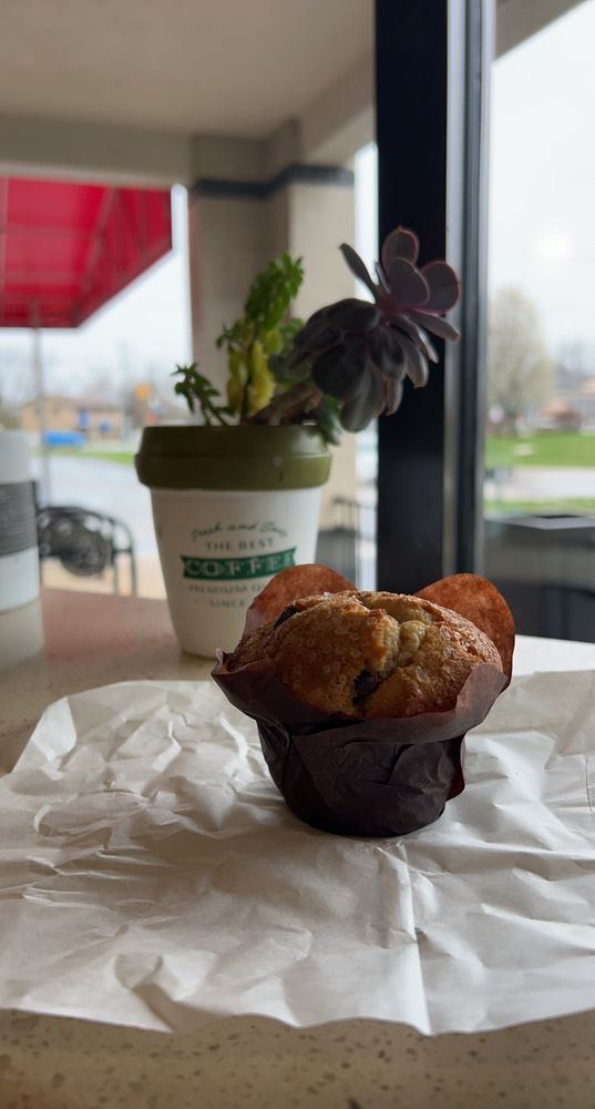 THIS GUY’S COFFEE - 49 Reviews & 61 Photos - 284 W Central Ave ...