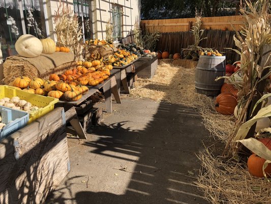 THOMPSON’S FARM MARKET - Updated October 2024 - 137 Photos & 22 Reviews ...