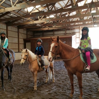 SUFFOLK EQUESTRIAN ACADEMY - Updated December 2025 - 31 Photos & 11 ...