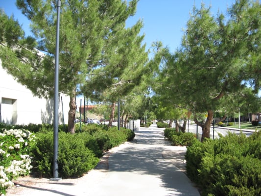 LANCASTER LIBRARY - Updated December 2025 - 20 Photos & 23 Reviews ...