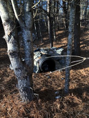 WRECKLESS HOBBIES - Updated December 2025 - 20 Photos - 3086 Cranberry ...