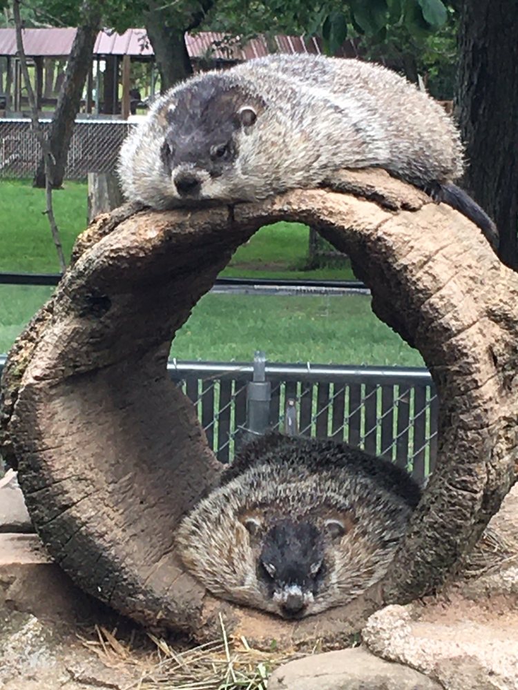 WILDERNESS WALK ZOO & WESTERN TOWN FAMILY FUN PARK - Updated July 2024 ...