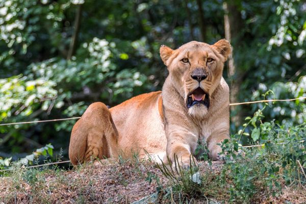 PITTSBURGH ZOO & AQUARIUM - Updated December 2025 - 1643 Photos & 396 ...