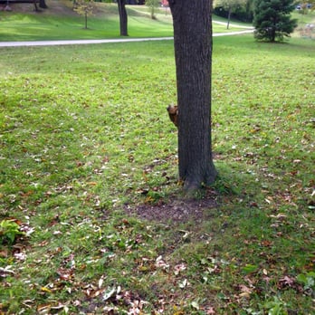 ROCHESTER MUNICIPAL PARK - Updated September 2025 - 92 Photos & 19 ...