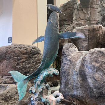 NAVY EXCHANGE PEARL HARBOR - Updated December 2025 - 1076 Photos & 356 ...