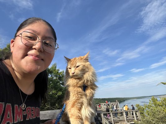 BARK BARK CLUB - Updated October 2025 - 69 Photos & 241 Reviews - 5943 ...