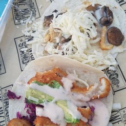 ONE NIGHT TACO STAND - 930 Photos & 407 Reviews - 9703 San Jose Blvd ...