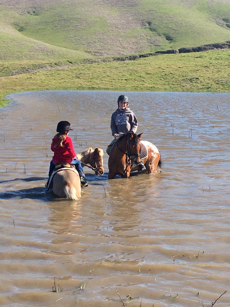 SUNSET RIDGE EQUESTRIAN CENTER - Updated October 2025 - 4100 Barry Hill ...
