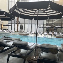 BLOOM & BEE - Updated January 2025 - 1596 Photos & 507 Reviews - 1600 ...