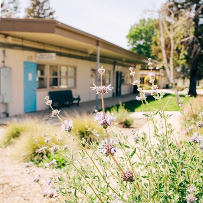 SIMI INSTITUTE FOR CAREERS AND EDUCATION - Updated August 2025 - 61 ...